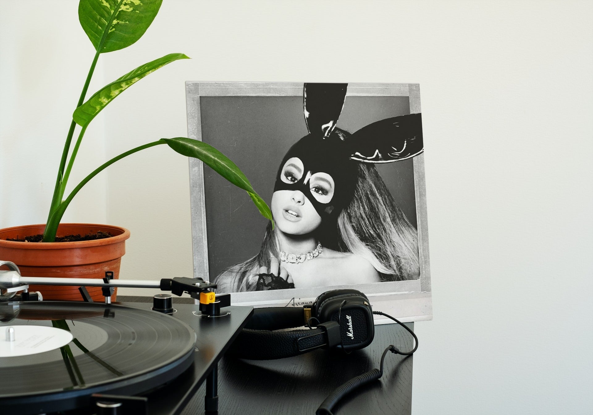 ARIANA GRANDE – Bondi Records